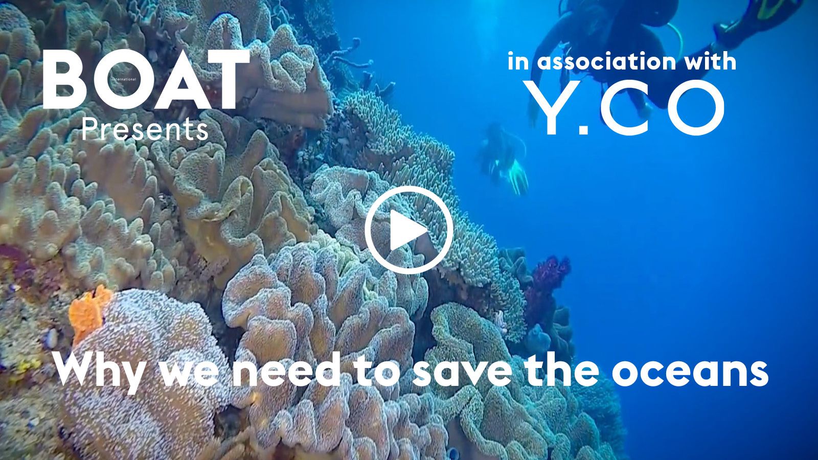 Video: Why we need to save the oceans